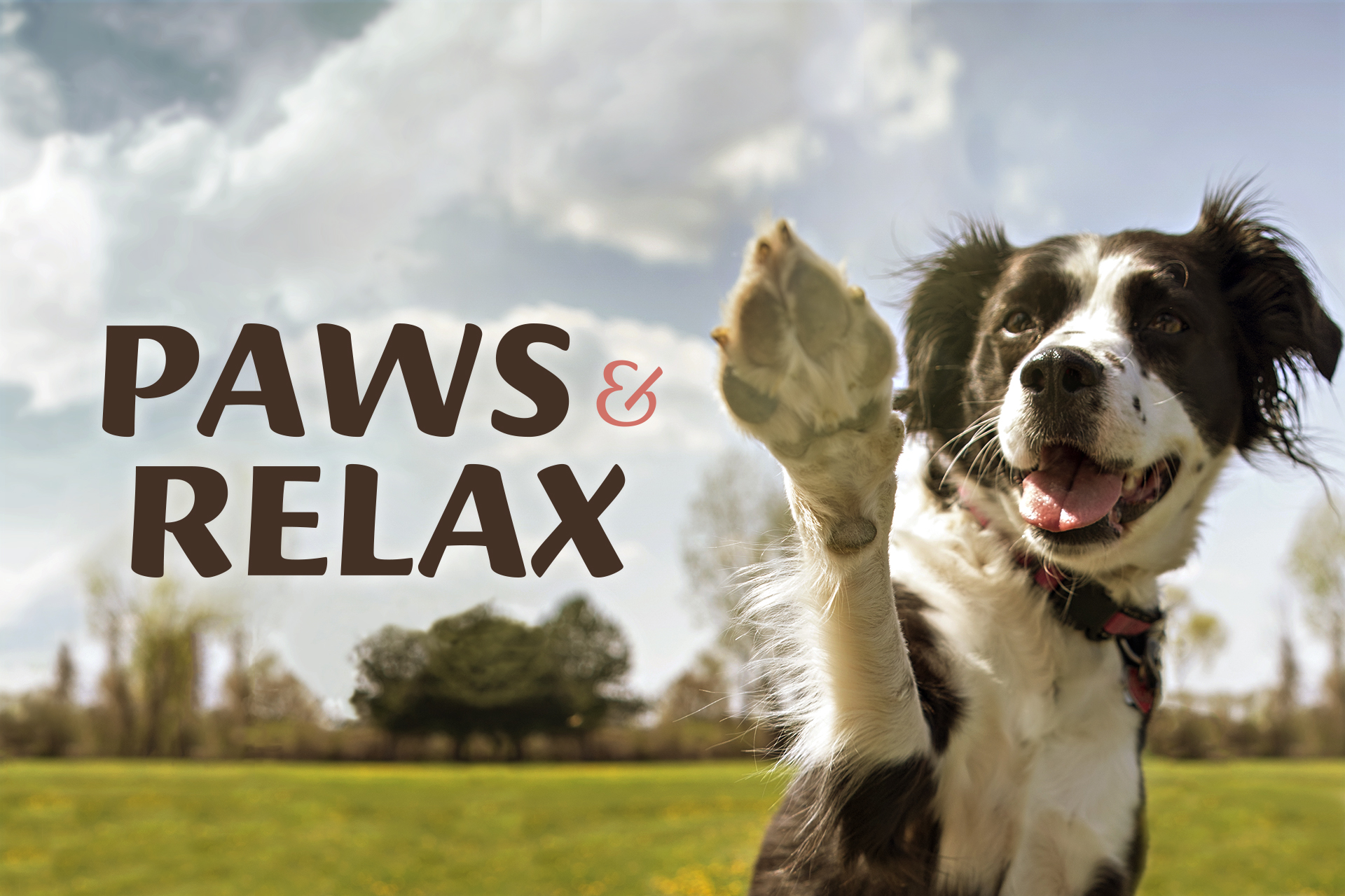 EBSCO Industries Hosts a Day to ‘Paws and Relax’ - EBSCO Industries